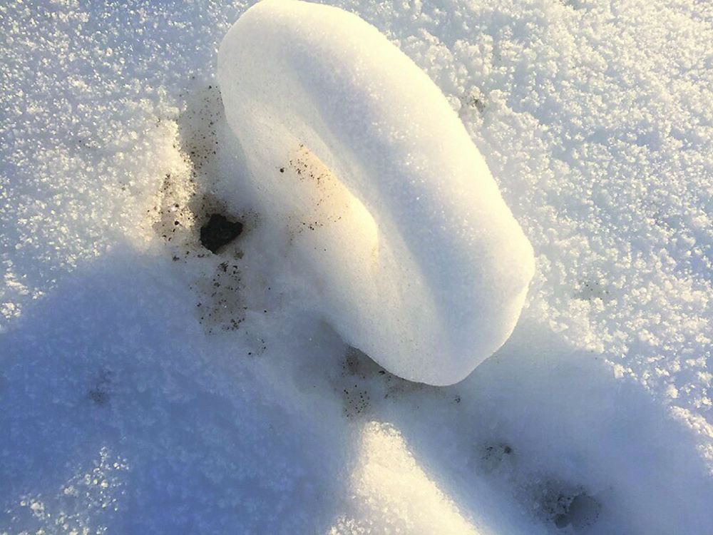 Nature rolls out an oddity: Snow doughnuts at Fort Knox | Our Town ...