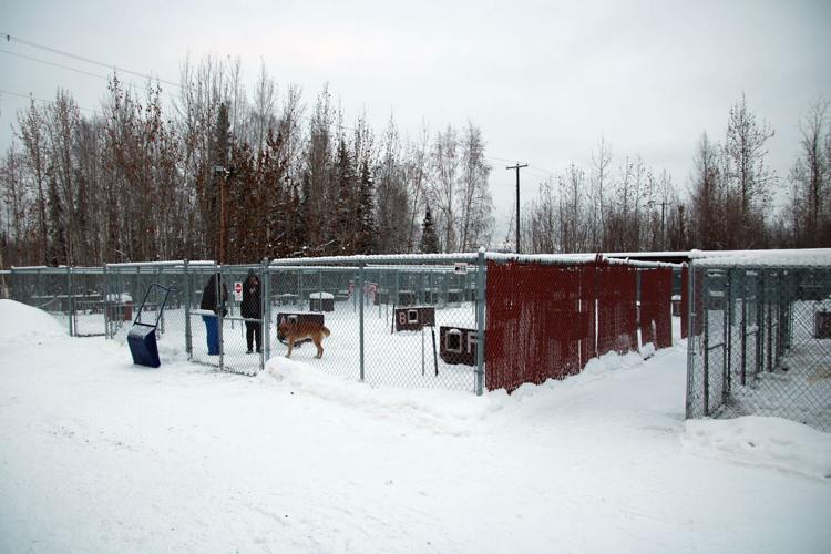 FNSB Animal Shelter holds open house | Local News | newsminer.com