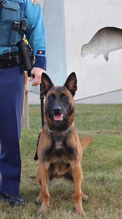 Alaska State Troopers K-9 team locates $50,000 of meth, heroin | Local ...