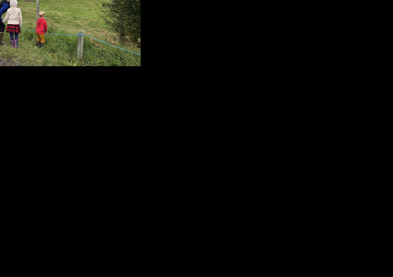 Locals Only: LARS hosts locals day | Local News | newsminer.com