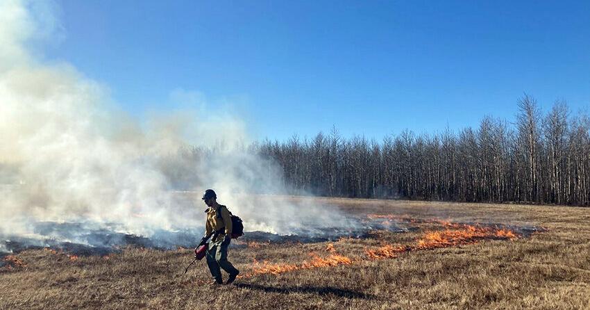BLM, Army Alaska to burn debris piles on military land | Local News ...