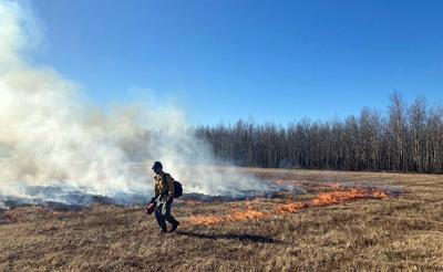 BLM, Army Alaska to burn debris piles on military land | Local News ...