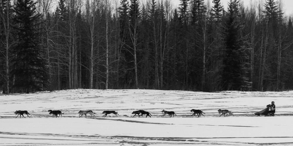 Buddy Streeper claims 10th ONAC victory with decisive final day ...