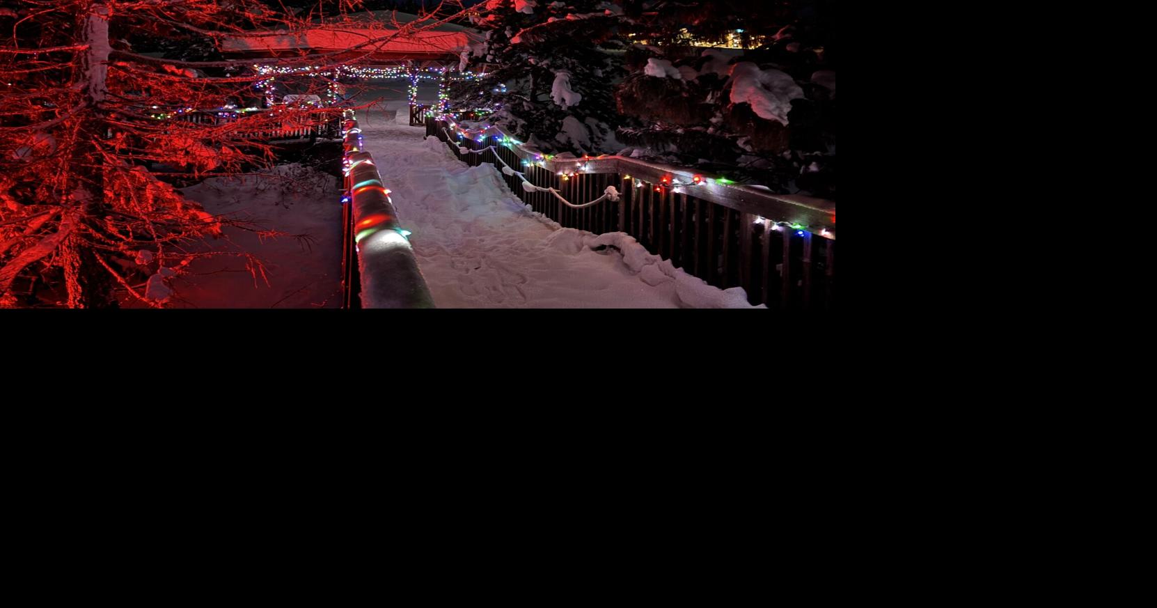 Sparkling lights decorate Georgeson Botanical Garden | Local News ...