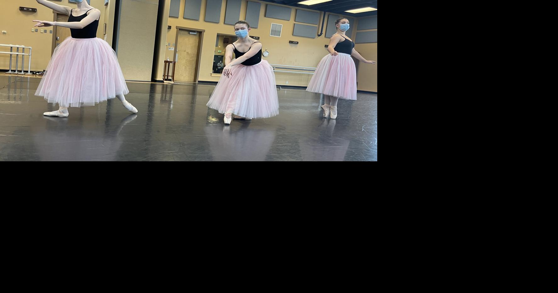 State honor recognizes North Star Ballet as outstanding arts ...