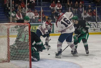 Ice Dogs host Brown Bears to begin final two series of the season | Ice ...