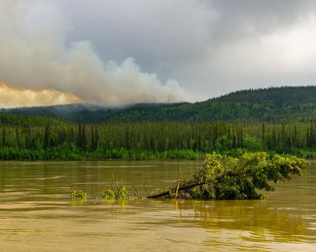 Wildfire near Dalton Highway at the Yukon River grows, more crews added ...