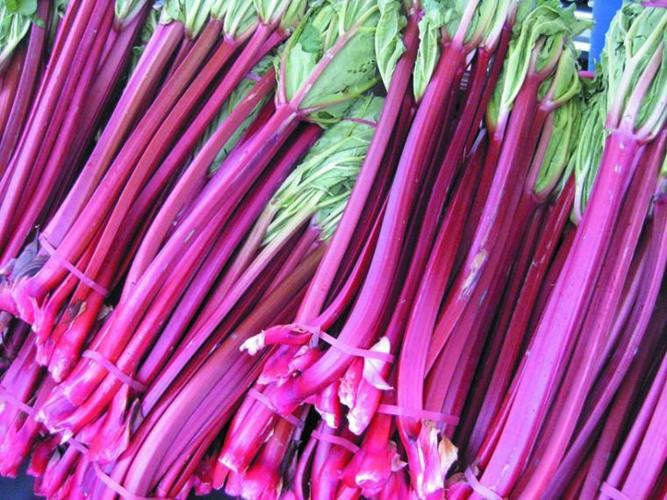 The rub on rhubarb, Alaska's favorite plant | Food | newsminer.com