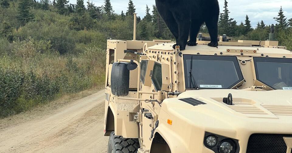 70th BEB Kodiaks meet black bear brothers during field training ...