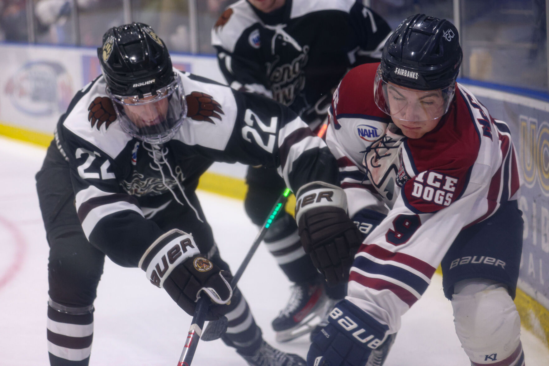 Ice Dogs play their last home series of 2025 vs Kenai River | Ice Dogs ...