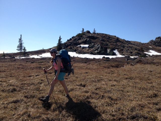 Trip Report: Snow melting fast on Wickersham Dome Summit Trail ...