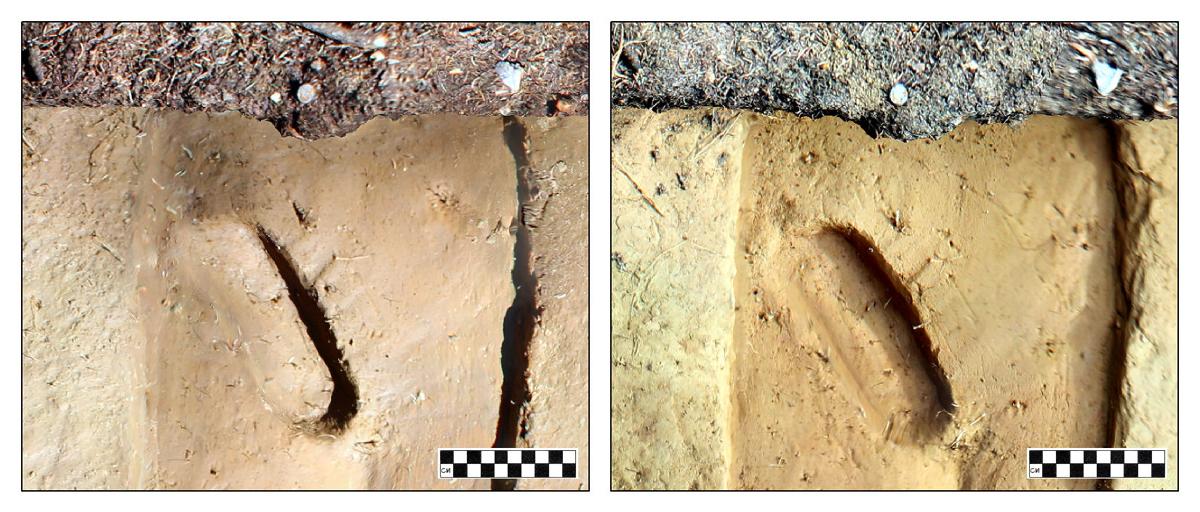 Prehistoric footprint discovered in Interior Alaska | Local News ...