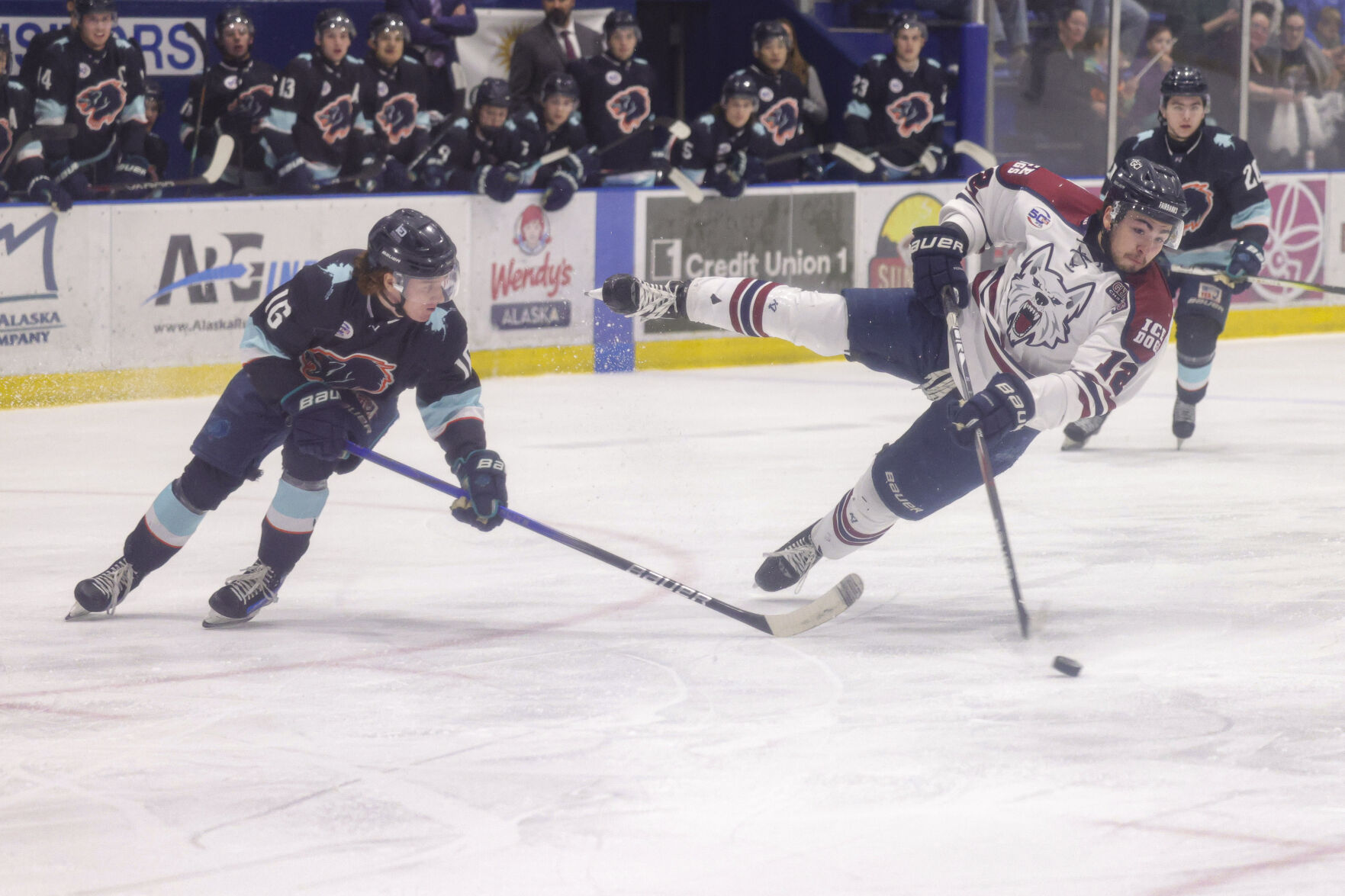 Ice Dogs erupt for 14 combined goals in Anchorage | Ice Dogs ...