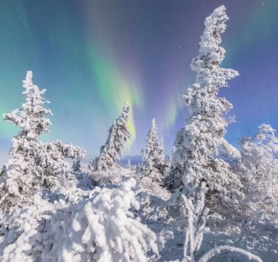 What to expect for Thanksgiving Day weather | Weather | newsminer.com