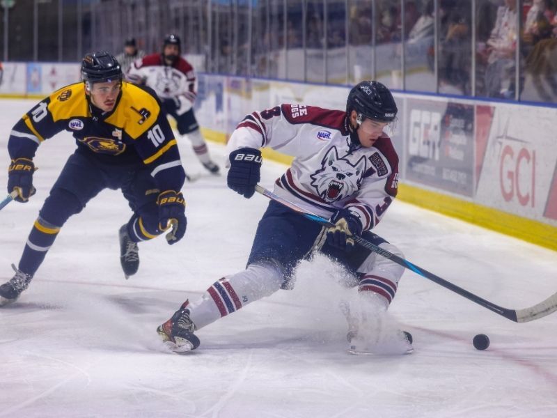 Springfield wins three straight against the Ice Dogs with November ...