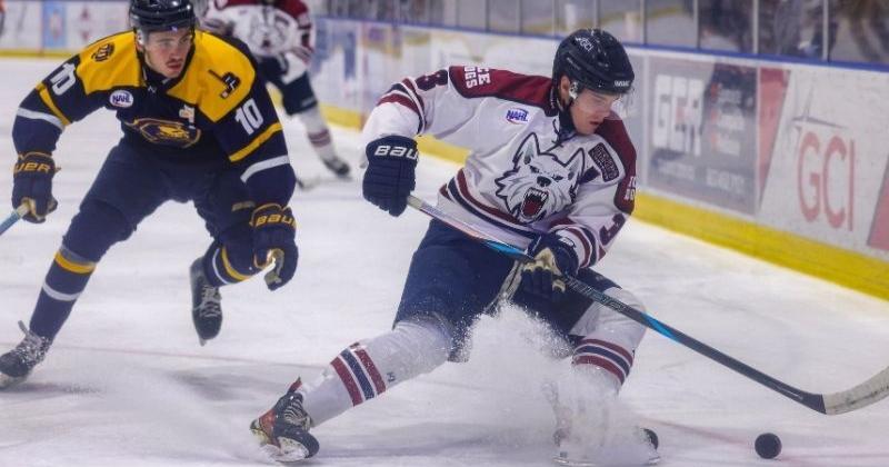 Ice Dogs drop two out of three against Minnesota | Ice Dogs | newsminer.com