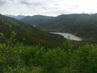 Trip report: Denali National Park's Triple Lakes Trail is a good half ...