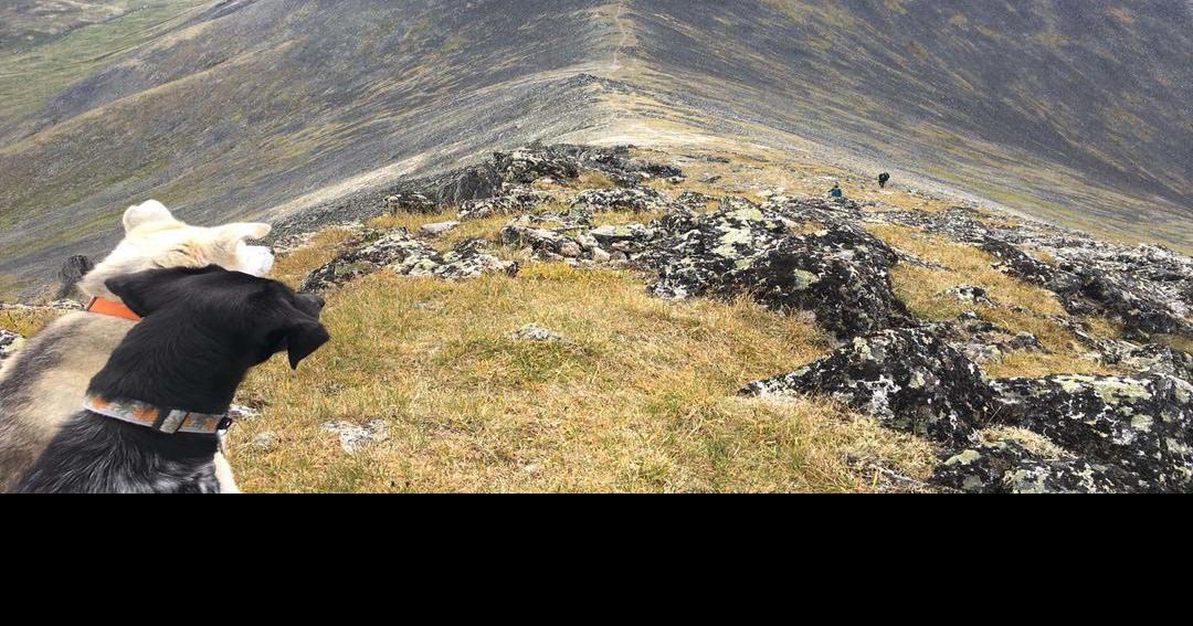 Trip report: Mount Prindle at its best when there’s some frost in air ...