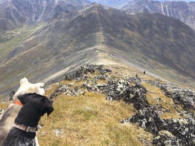 Trip report: Mount Prindle at its best when there’s some frost in air ...