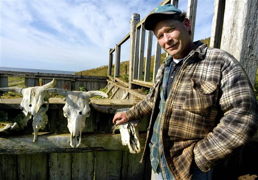 No funding to remove Alaska feral cattle | Alaska News | newsminer.com