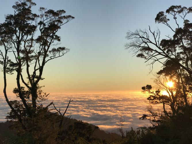 Playing thru-hiker in New Zealand: Four lessons learned on the trail ...