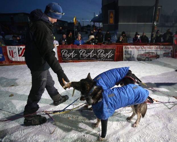 Seavey spectacular: Son, father finish one-two in Iditarod | Iditarod ...