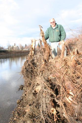 Project uses root wad technique to restore bank of Chena River in ...