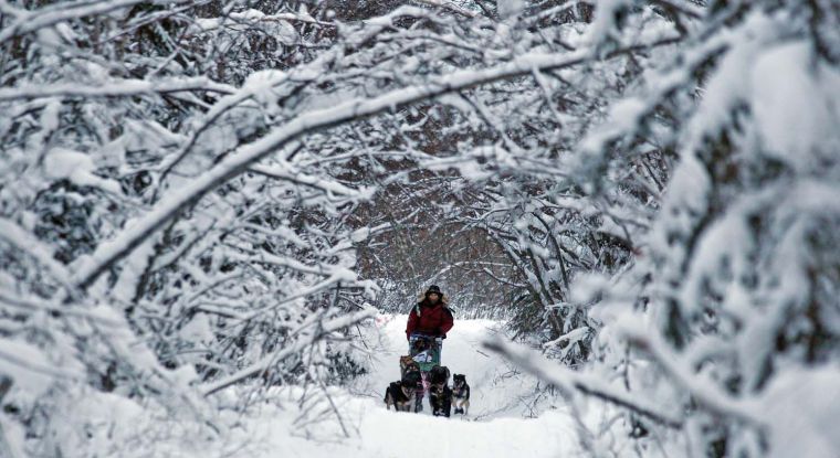 Zirkle wins Two Rivers Solstice 100 race | Local/Community | newsminer.com