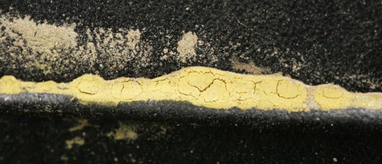 Warm weather in Alaska leads to early high pollen counts | Alaska News ...