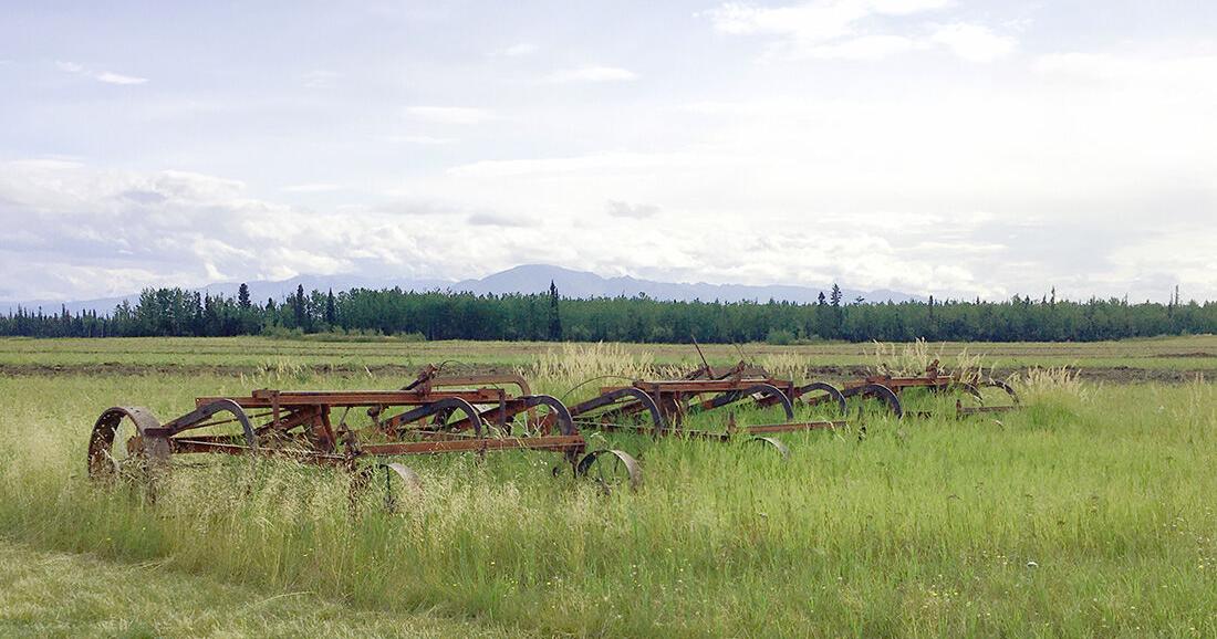 Delta Farm Forum highlights Interior Alaska agriculture | Local News ...