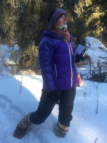 Molly of Denali education project teaches the world about Alaska's ...