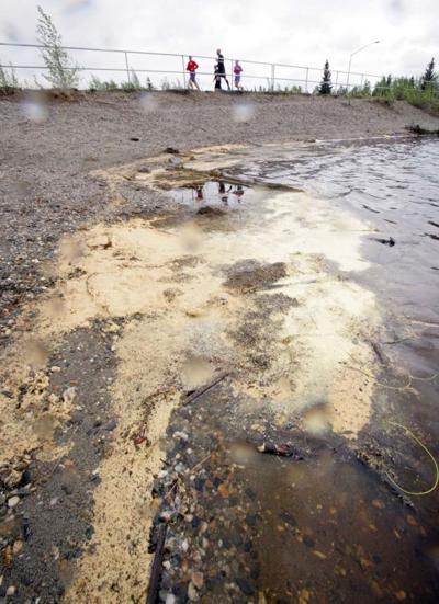 Fairbanks area sees high pollen concentration | Local News | newsminer.com