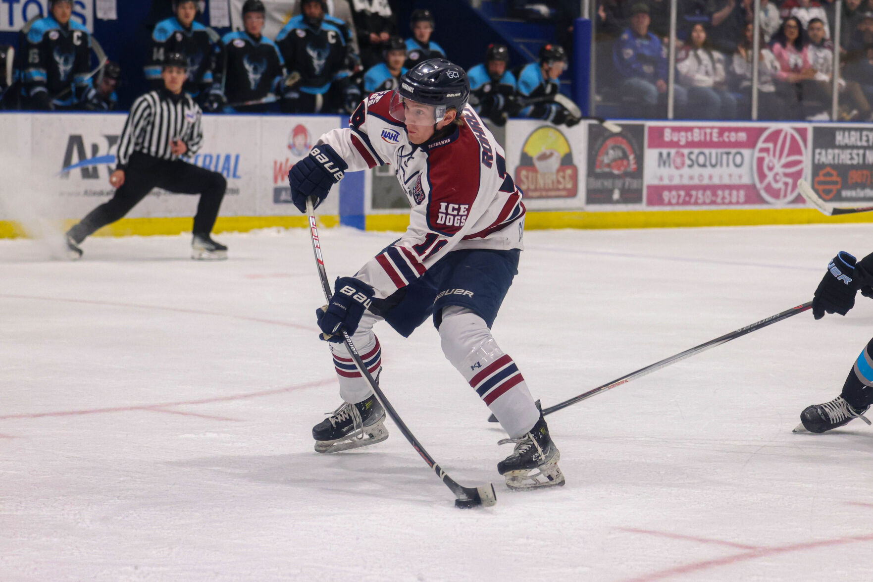 Ice Dogs fall in game two, hope to avoid elimination Sunday afternoon ...