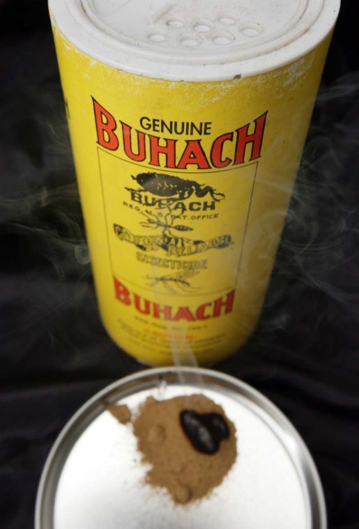 Company that makes popular bug repellent Buhach out of business | Local ...