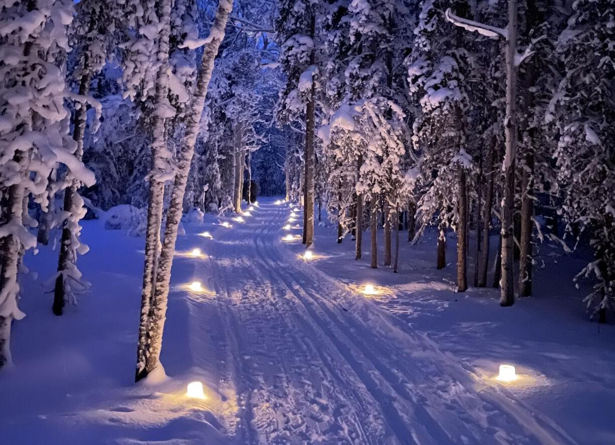 Magical Winter Solstice Luminary Ski & Stroll lights up Denali National ...