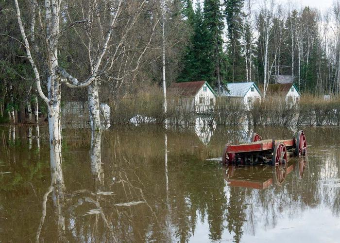 Flood waters recede in Manley Hot Springs, residents displaced as ...