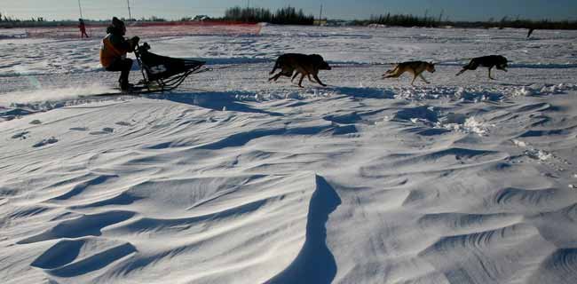 North Pole Championships conclude on glorious winter day | Local ...
