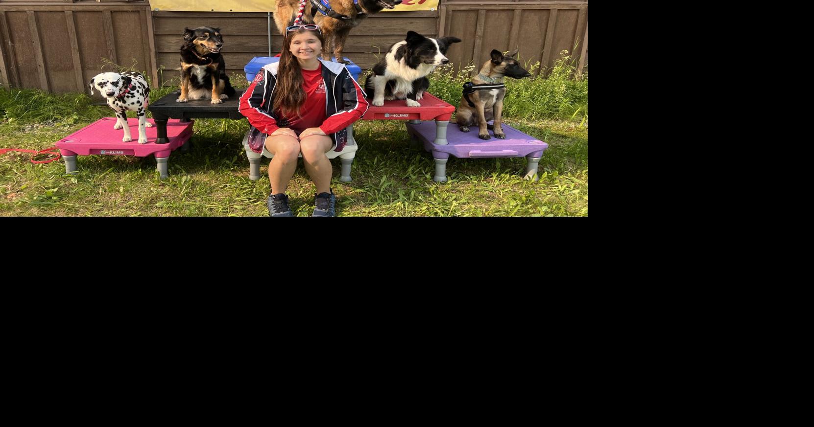 Love of dogs leads teen to Junior World Agility Team | Kris Capps ...