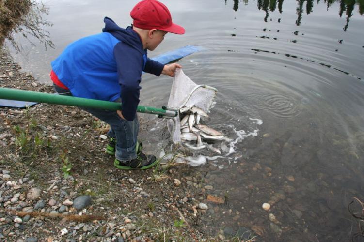 ADFG stocking Alaska lakes, ponds with fish from Ruth Burnett Sport ...