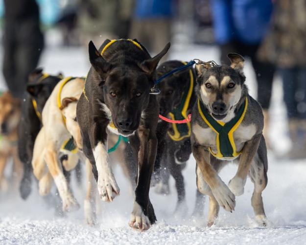 Buddy Streeper claims 10th ONAC victory with decisive final day ...