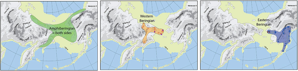 At the crossroads of Beringia, nature's super highway | Community ...