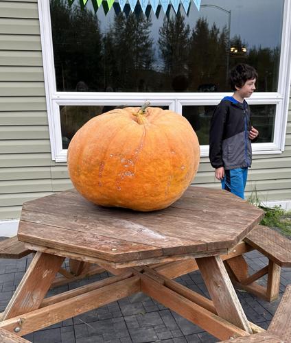 Meet ‘Plumpkin’ the giant pumpkin of North Pole | Food | newsminer.com