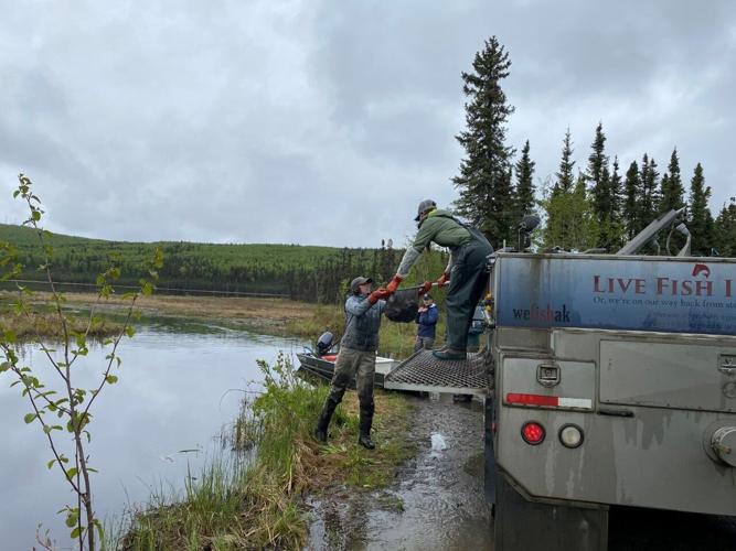 Local lakes are stocked and ready for anglers | Outdoors | newsminer.com