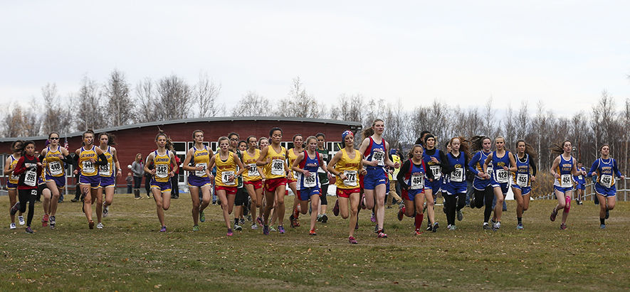 West Valley sweeps region XC team titles | Sports | newsminer.com