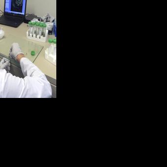 Alaska's first marijuana testing lab opens in Anchorage | Marijuana ...