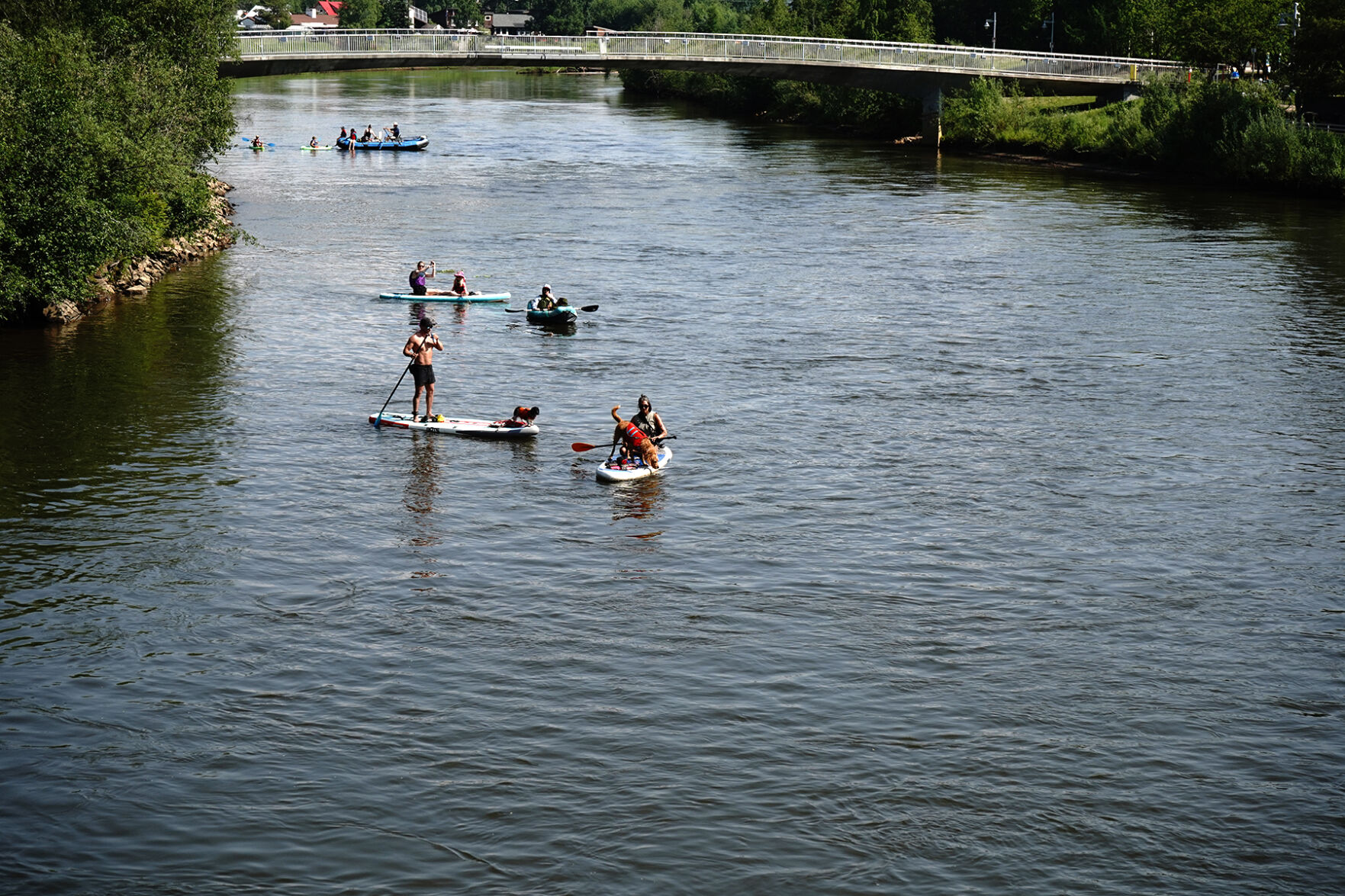 Chena Riverfront Commission gets primer on riverfront plan update ...