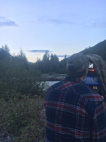 The salmon-eating wolves of Alaska | Outdoors | newsminer.com