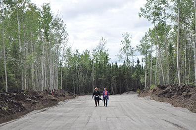 Tanana River Crossing: Alaska’s longest bridge opens | Local News ...
