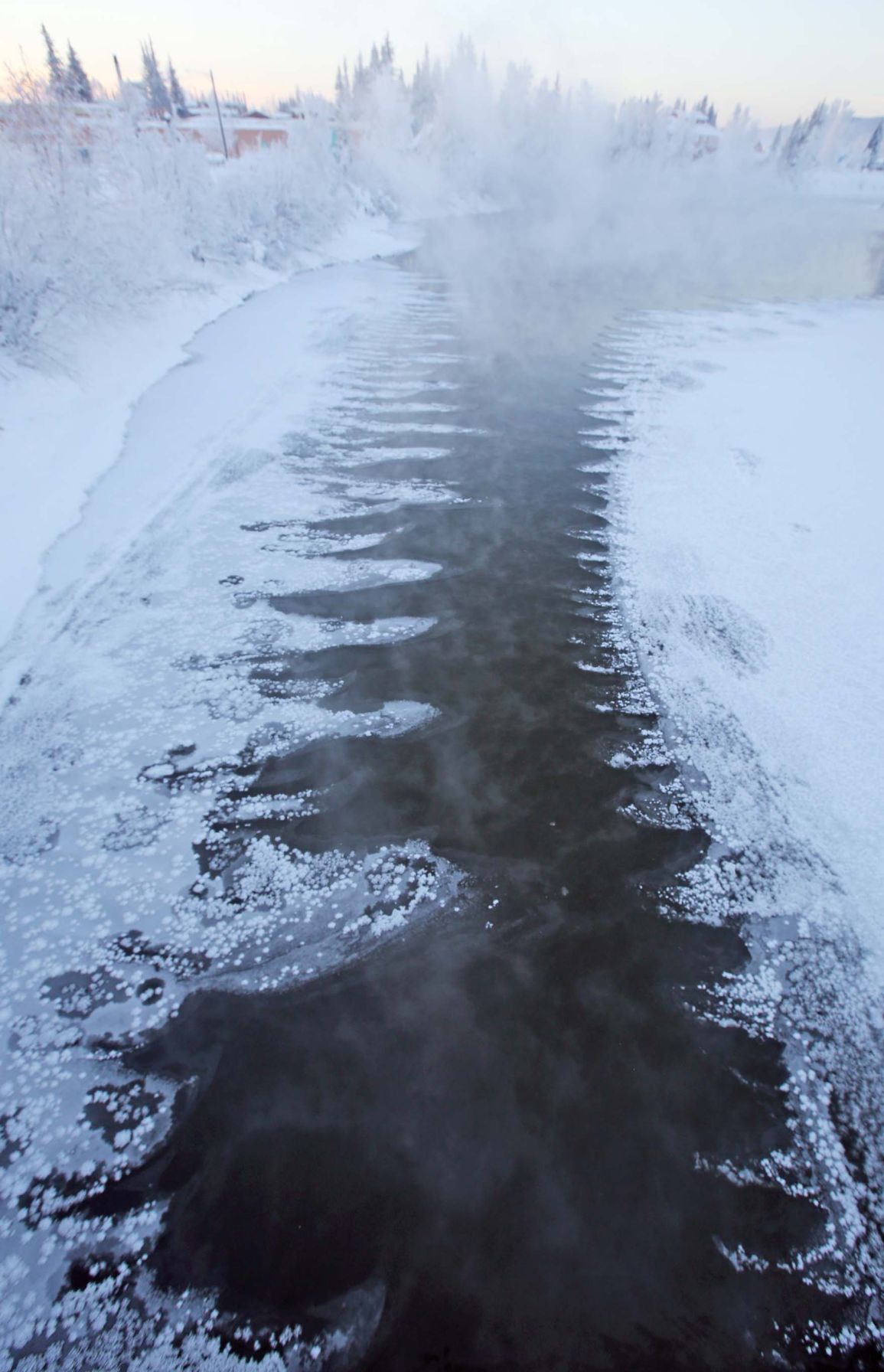 Jan 8-14 | Gallery | newsminer.com