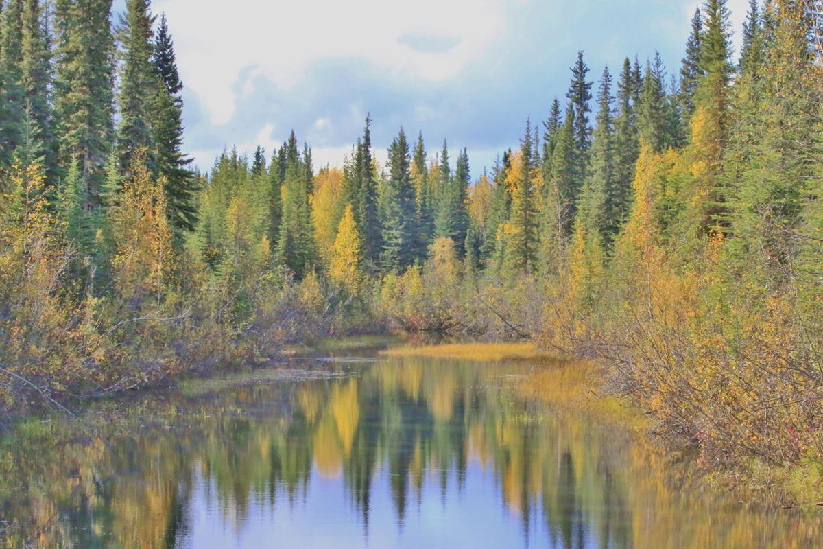 Alaska autumn | Featured | newsminer.com